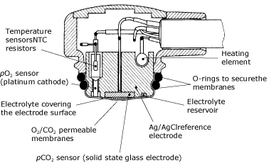 Pulse oximetry vs. transcutaneous monitoring in neonates: practical aspects