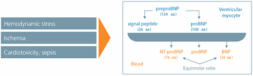 Natriuretic peptide testing for heart failure diagnosis, inpatient ...